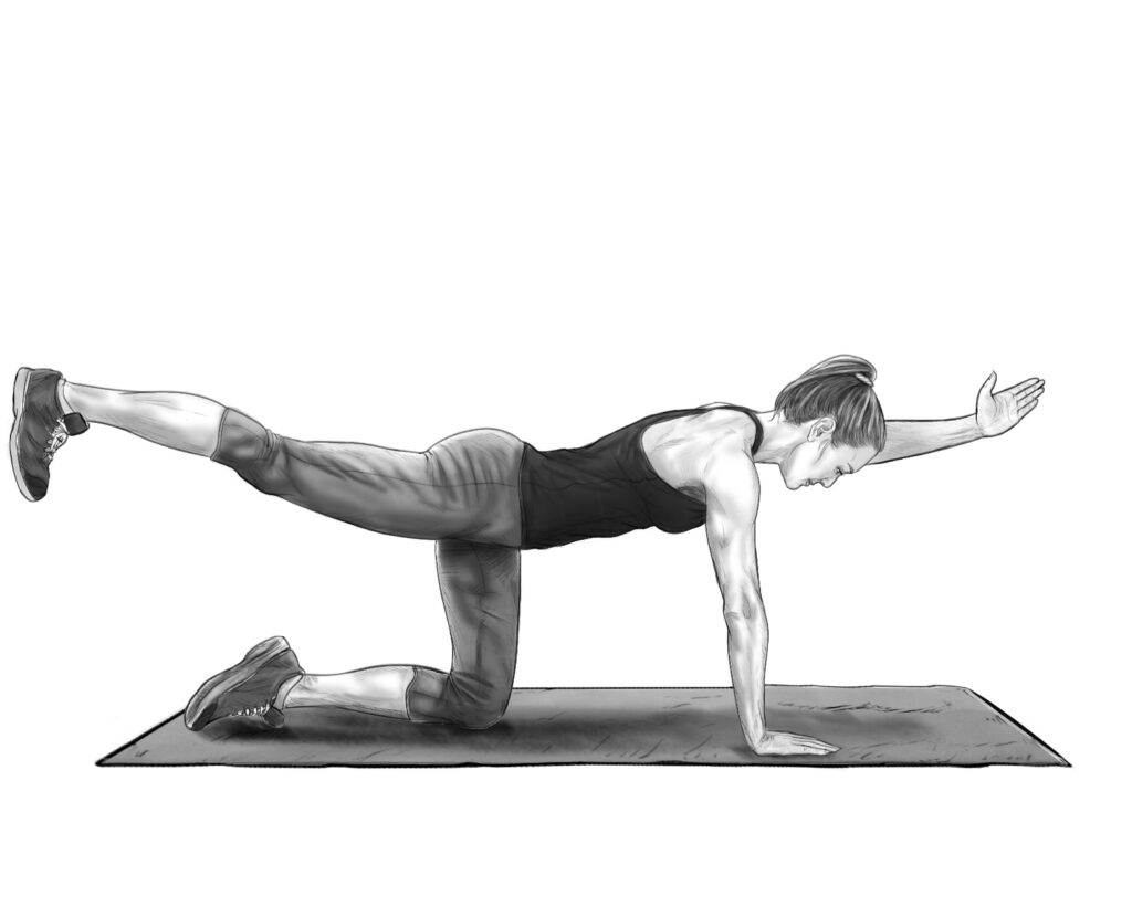 Best Core Exercises for Seniors | Bottom Line Inc