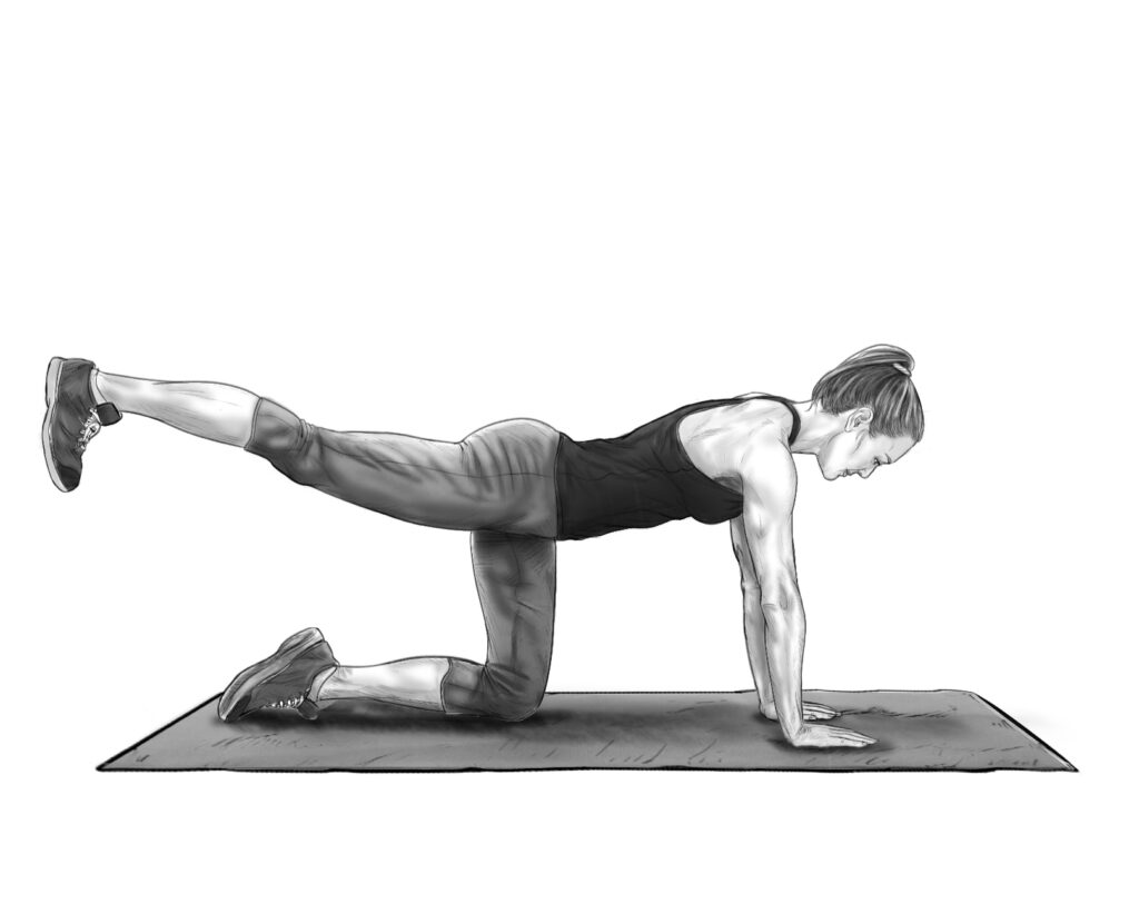 Best Core Exercises for Seniors | Bottom Line Inc
